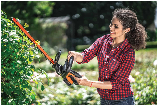 Hedge Trimmer: How Does It Work? - Care Homes Uk