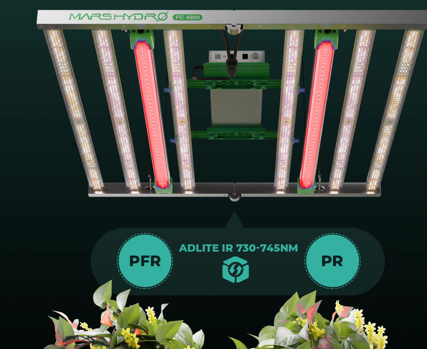 Boost Your Harvest: Why Supplemental Grow Lights Are the Secret Weapon ...